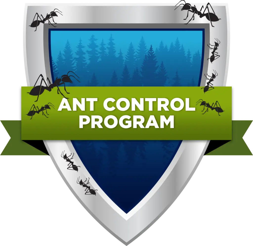 Ant Control Calgary | Effective Ant Removal Services